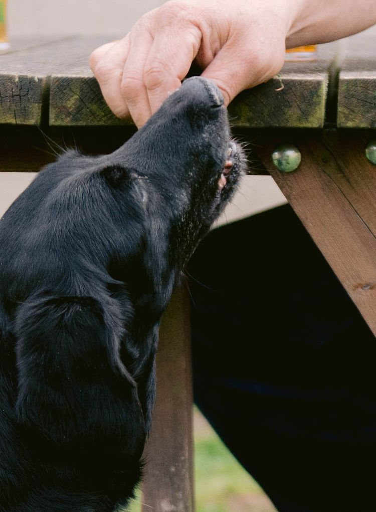 The Apollo in Hull - Pub & Restaurant